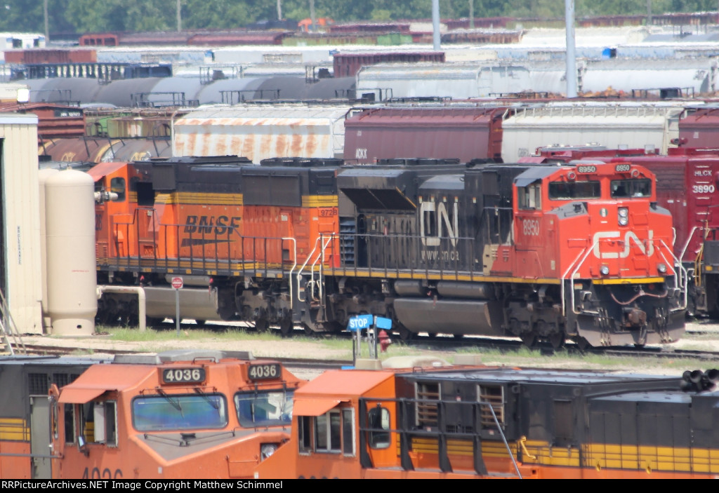 BNSF 9728 & CN 8950